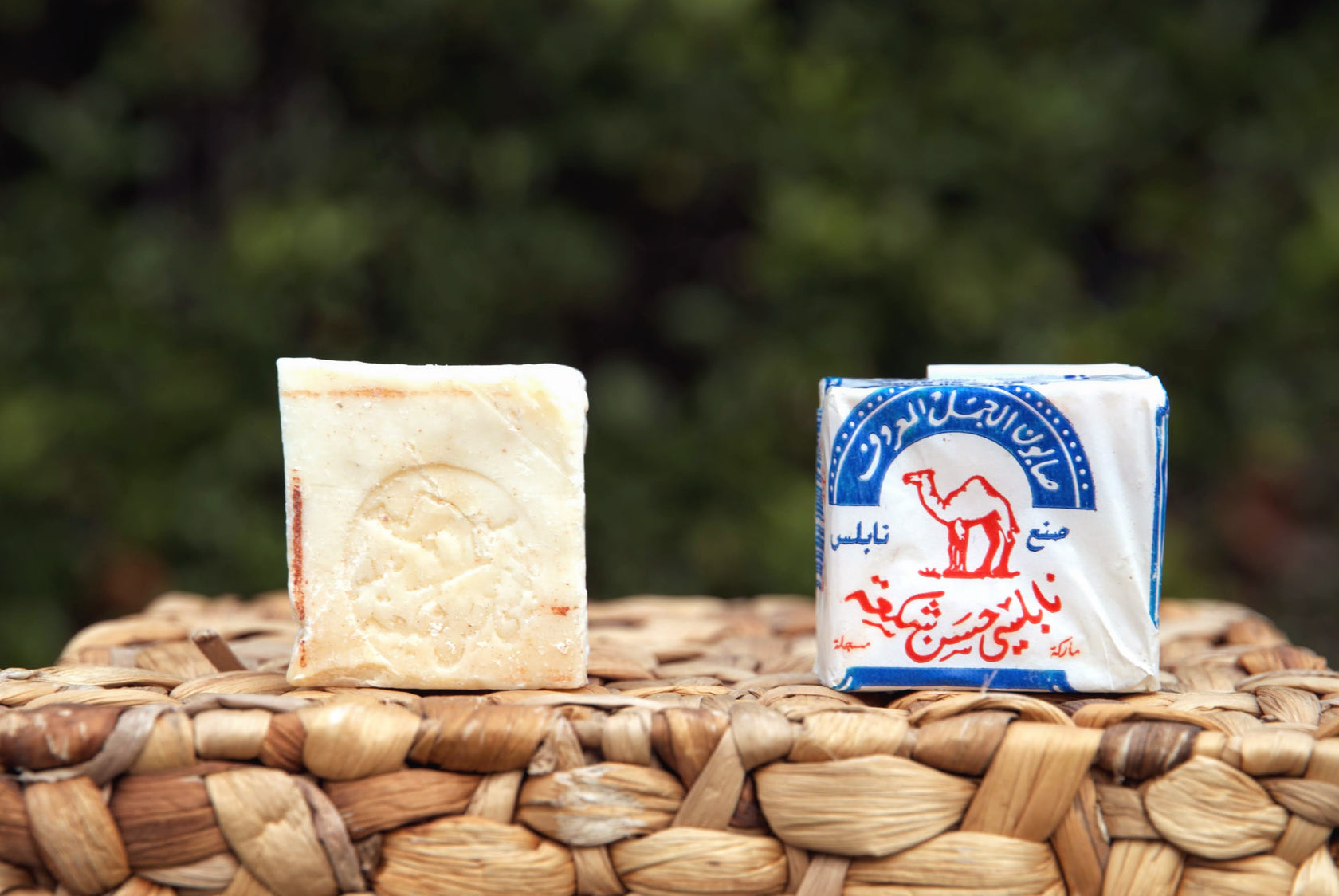 The Camel (al-Jamal; الجمل) – Palestinian Soap Cooperative